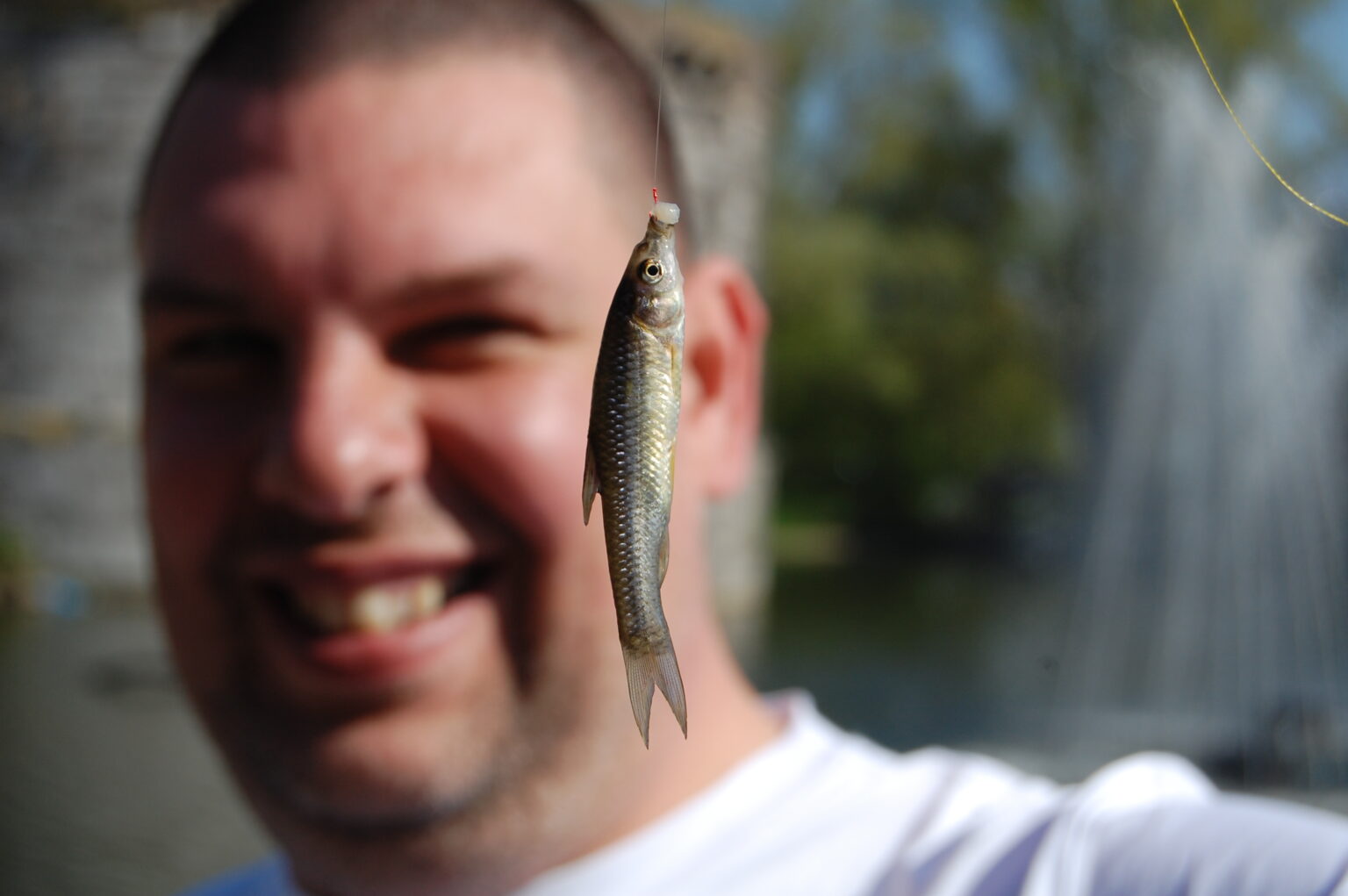 Micro Fishing: Klein, kleiner, kleinst! - Only Fishing