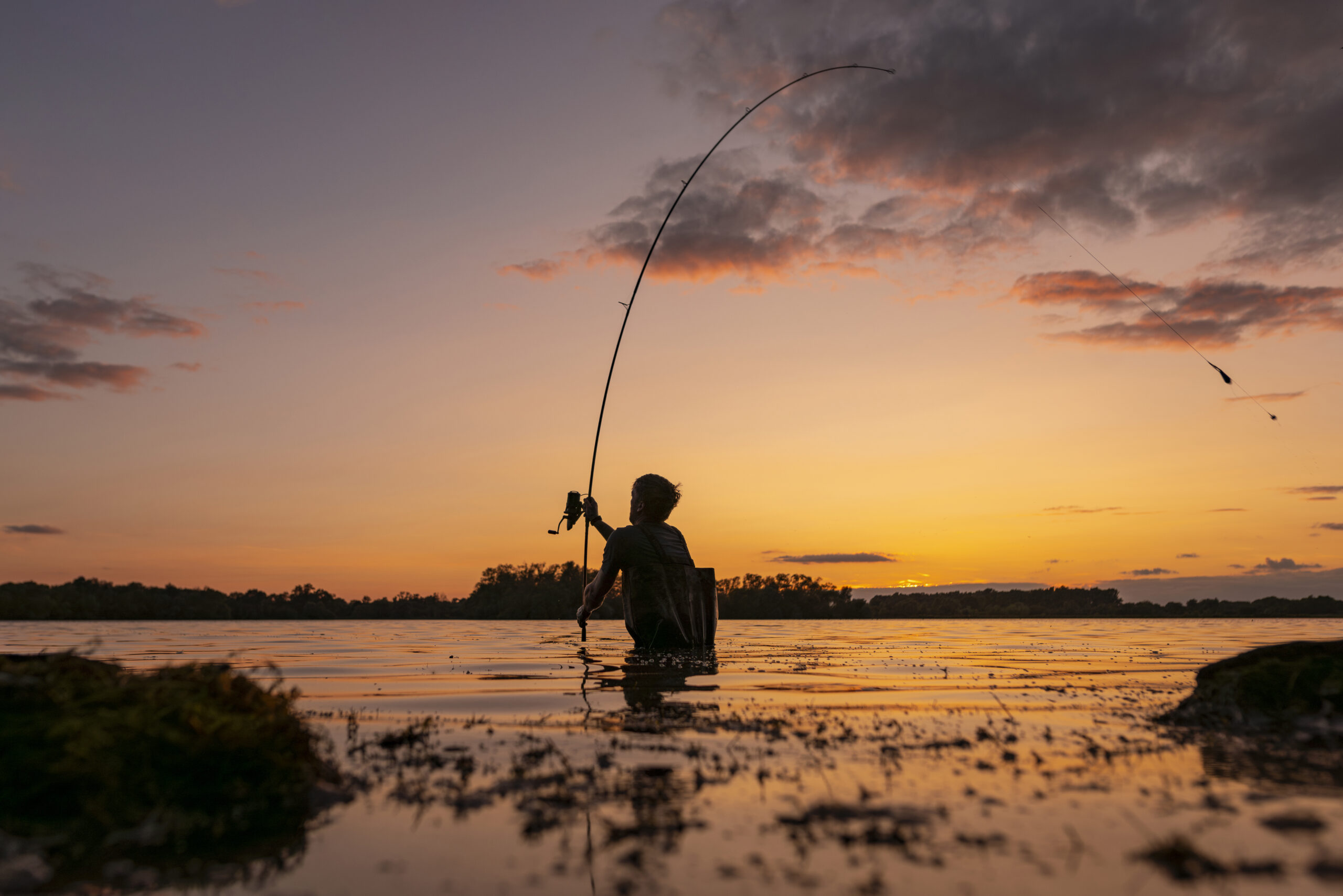 Nash Airforce F20 Series - Only Fishing