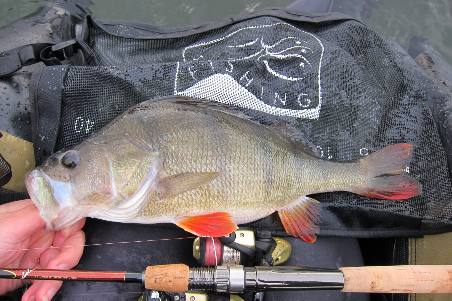 Vissen op baars - Only Fishing